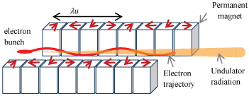 Measurement of Coherent Undulator Radiation of Compact Terahertz ...